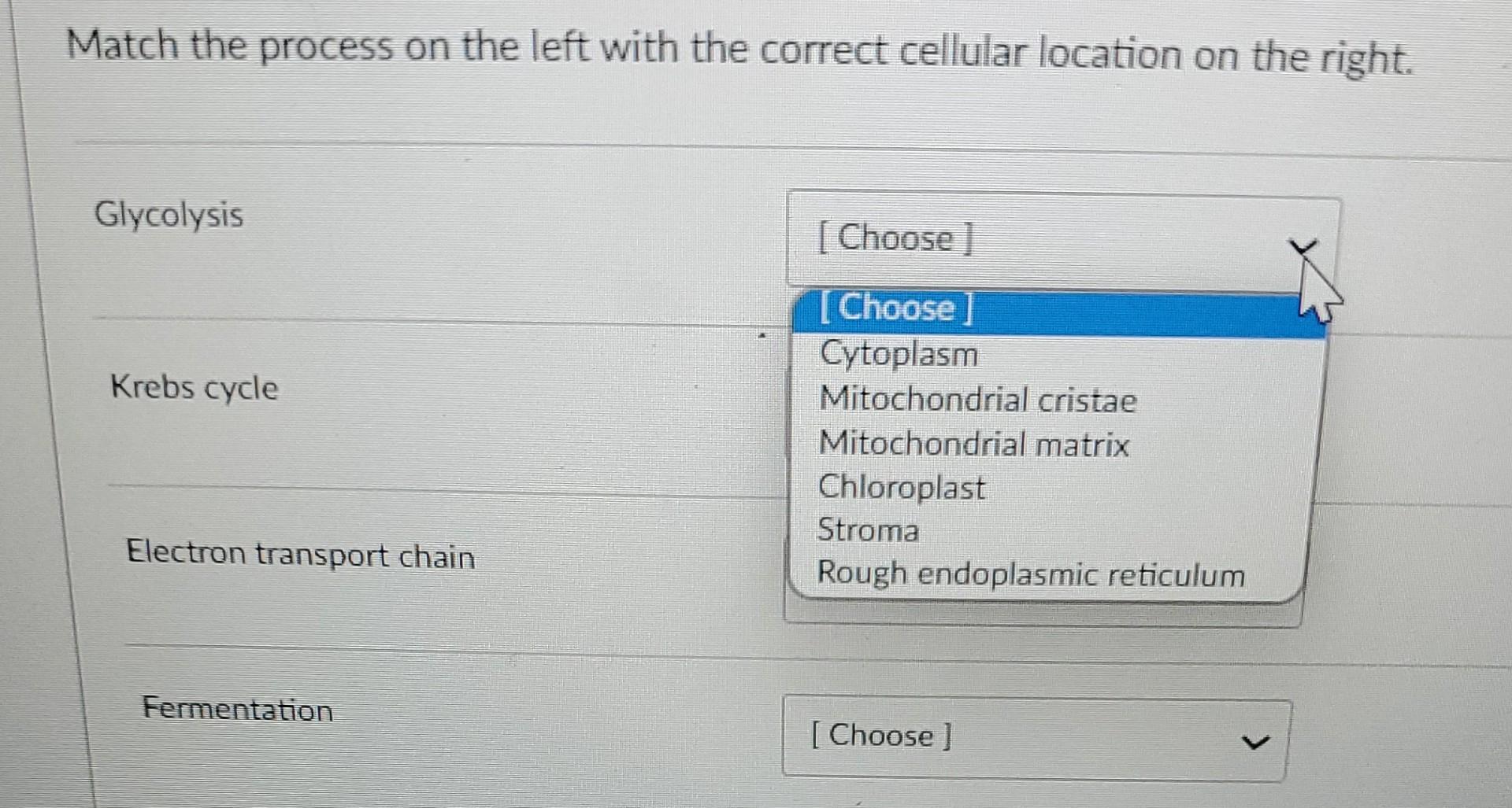 Solved Match the process on the left with the correct | Chegg.com