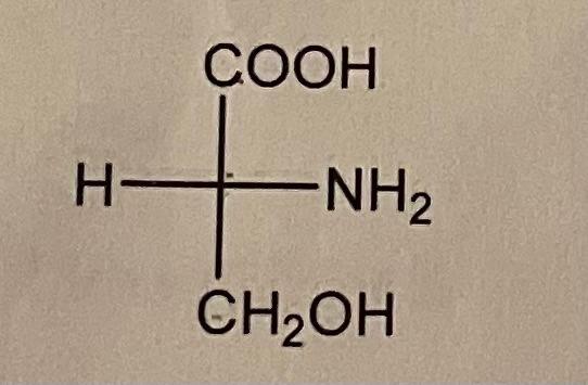 Solved Convert the following Fischer projection to the | Chegg.com