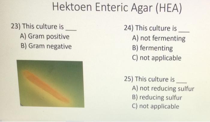 Solved Online worksheet: questions 17-19 Hektoen Enteric | Chegg.com