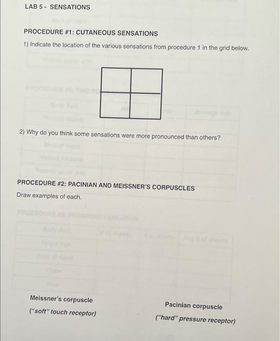 Solved LAB 5- SENSATIONS PROCEDURE #1: CUTANEOUS SENSATIONS | Chegg.com
