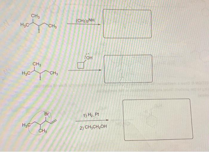 Solved CH3 Hach (CH3)2NH CH3 OH CH3 H3C CH3 Br 1) H₂, Pt HyC | Chegg.com