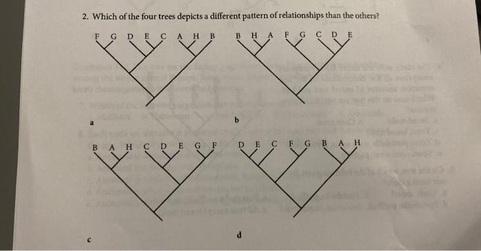 2. Which of the four trees depicts a different | Chegg.com