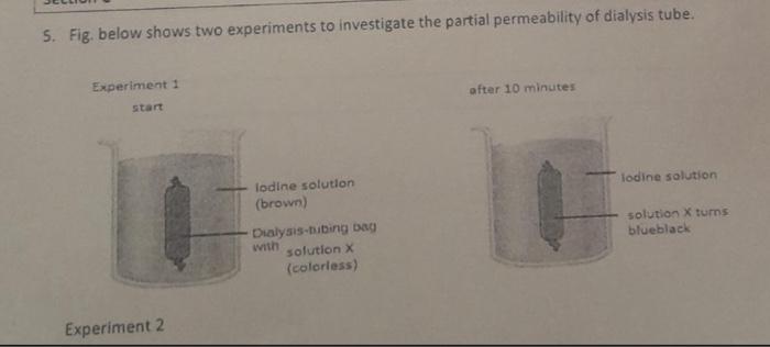 Solved 5. Fig. below shows two experiments to investigate | Chegg.com