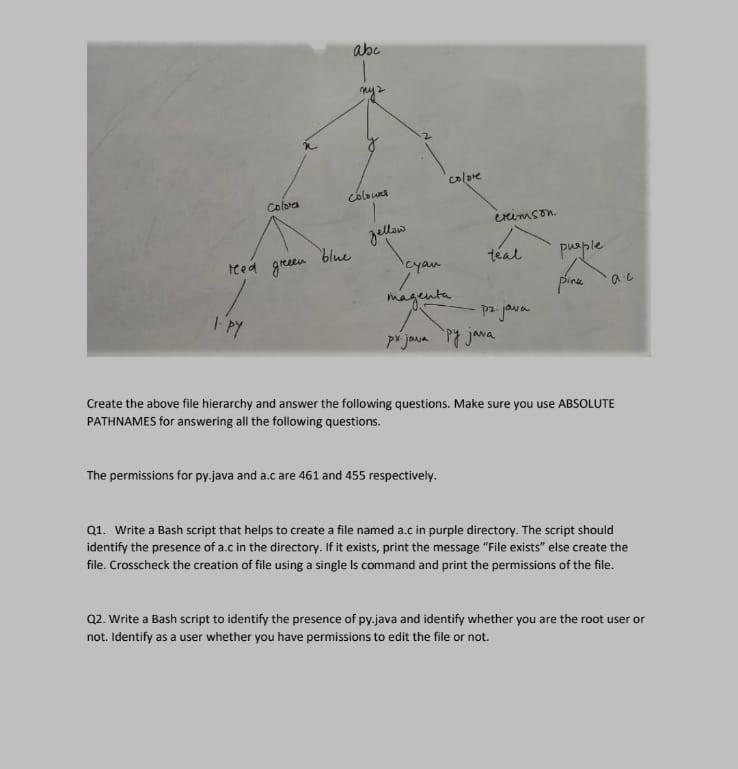 Solved Create the above file hierarchy and answer the | Chegg.com