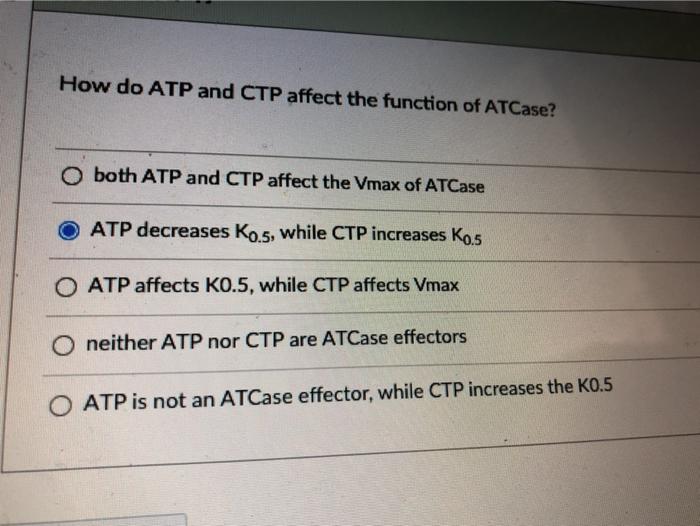 Solved How do ATP and CTP affect the function of ATCase? O | Chegg.com