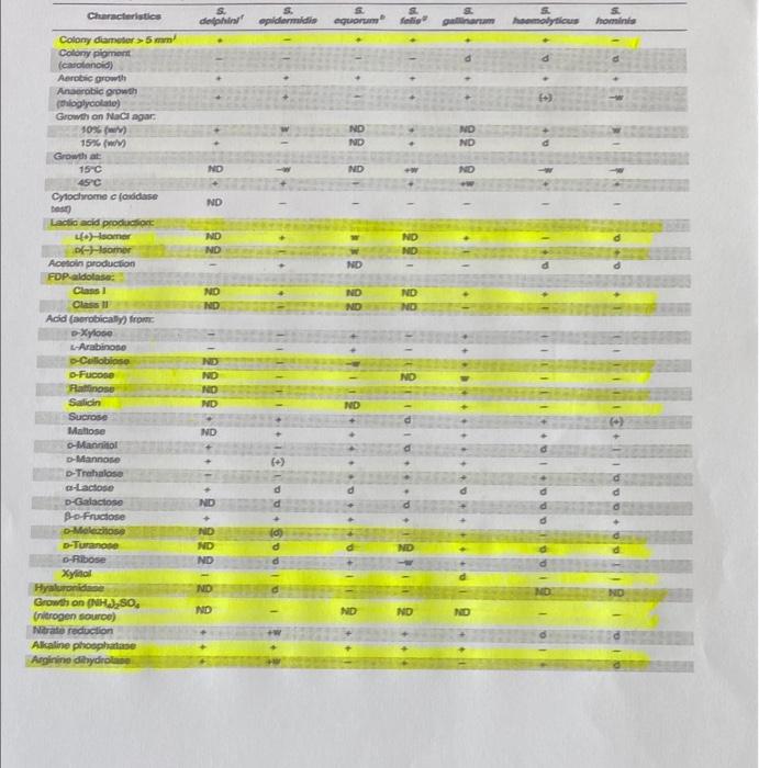 Schematic Diagram For The Identification Of Staphylococcus S
