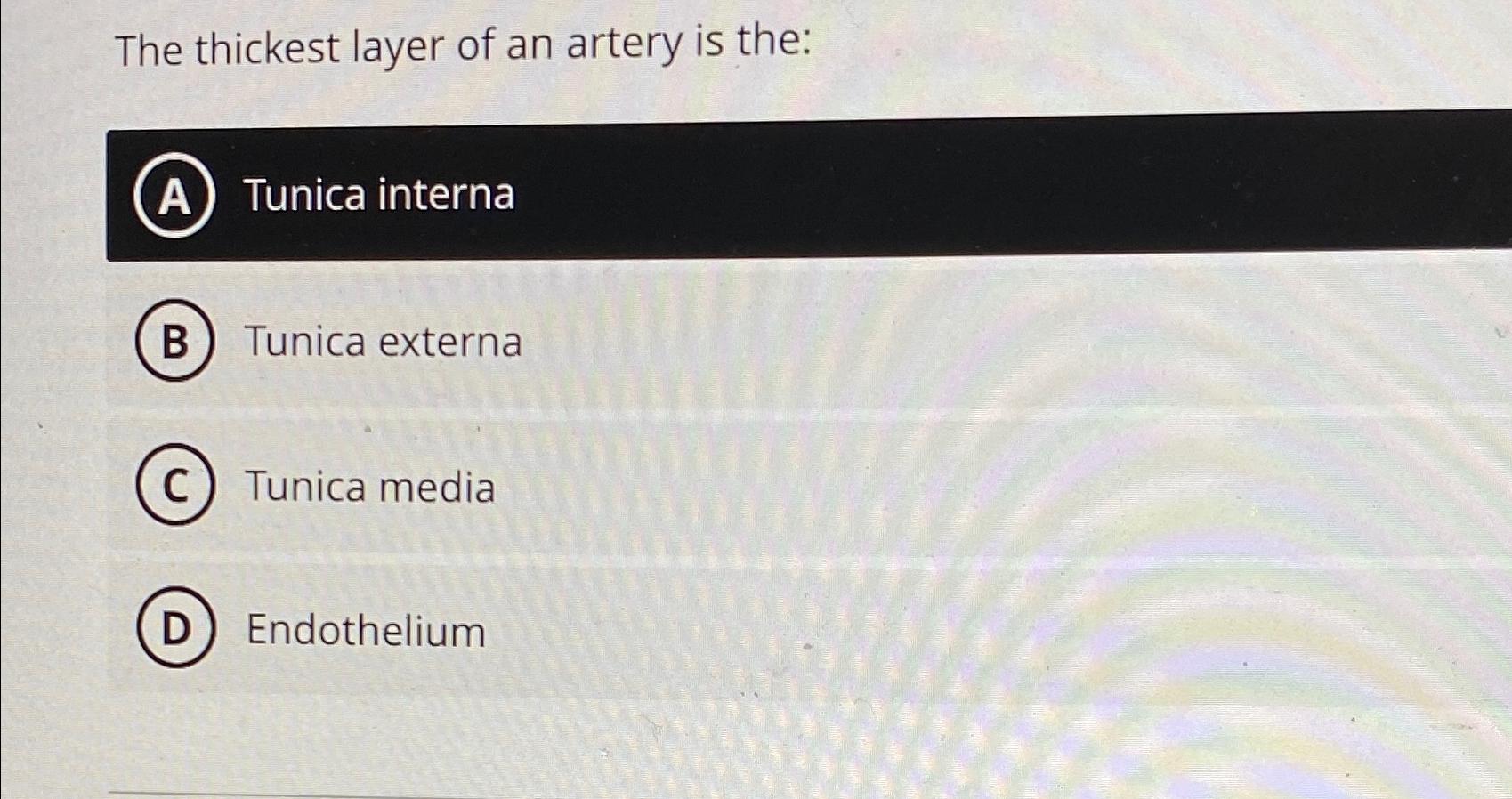 Solved The thickest layer of an artery is the:A Tunica | Chegg.com