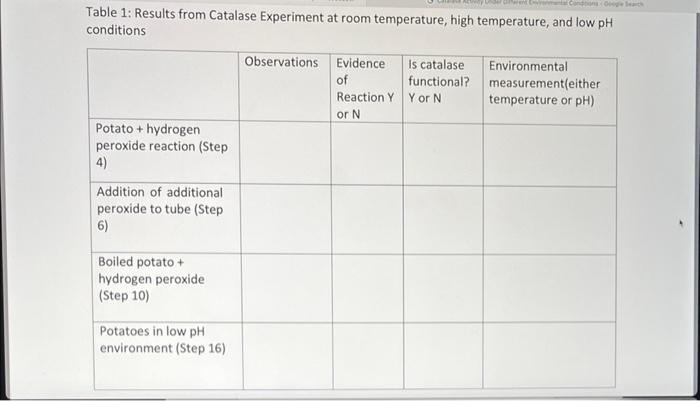 Solved Experiment 1: Catalase Activity Under Different | Chegg.com