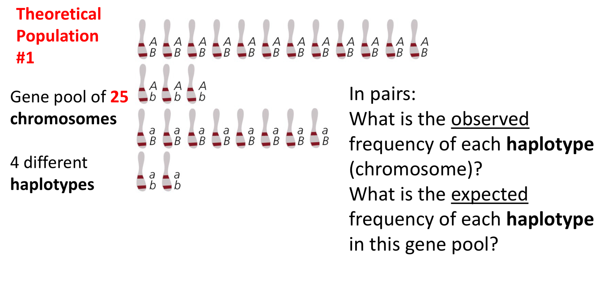 Solved \table[[Theoretical Population #1,],[Gene pool of | Chegg.com