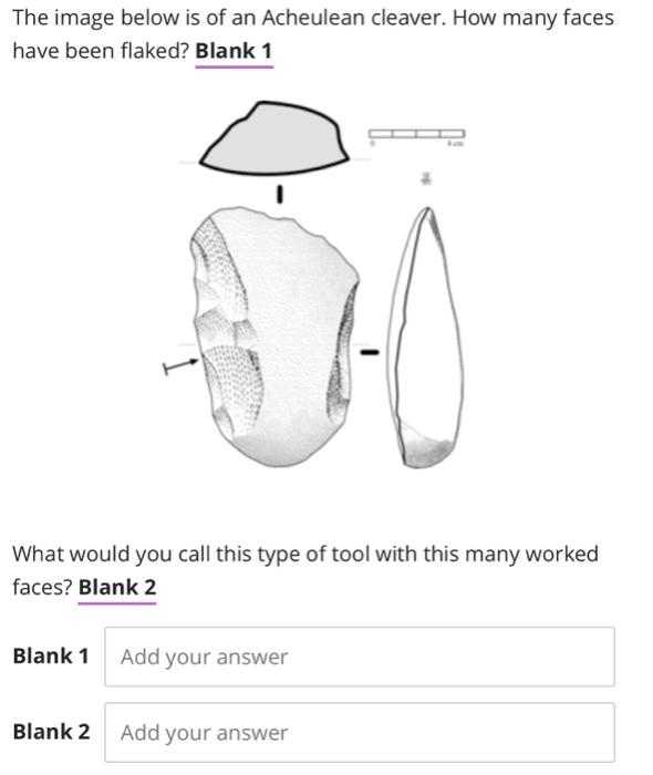 Label the diagram below.Who is associated with the | Chegg.com