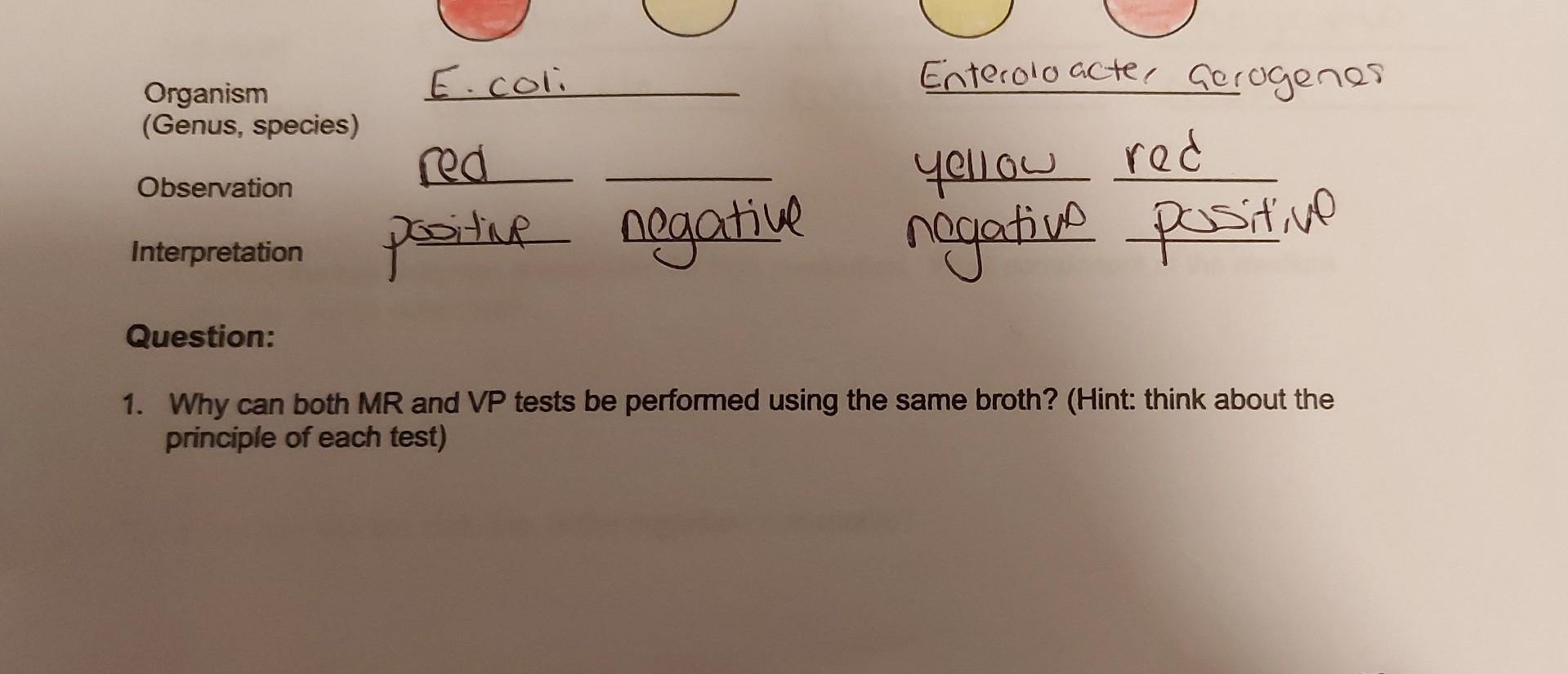 Organism E.coli: Enteroloacter Gerogenes (Genus, | Chegg.com
