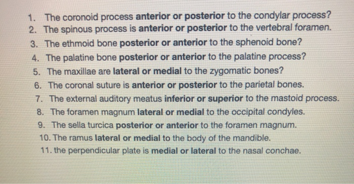 Solved 1. The coronoid process anterior or posterior to the | Chegg.com