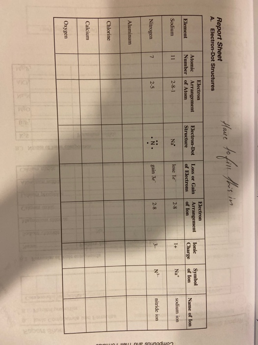 Solved Report Sheet Questions and Problems 0.1 How do the | Chegg.com
