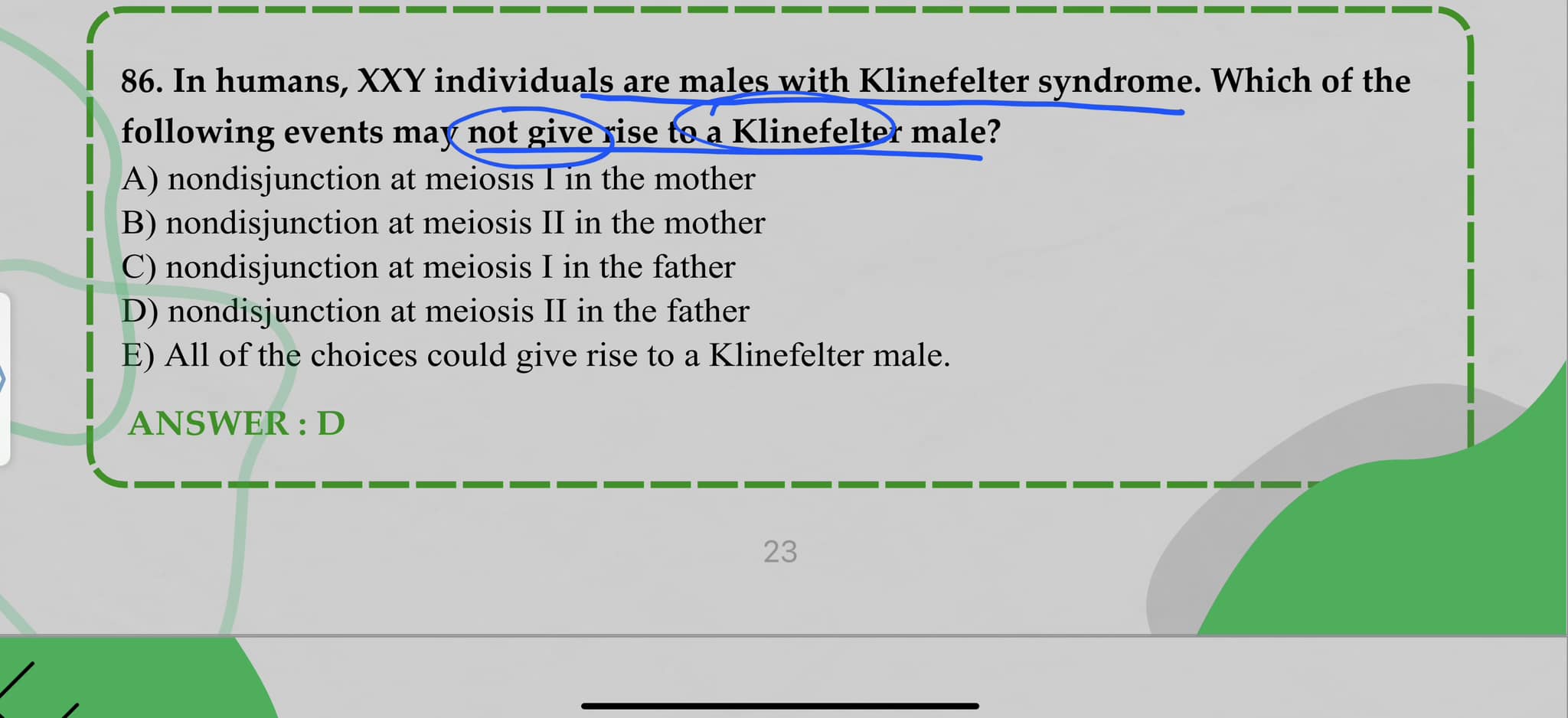 Solved In humans, XXY individuals are males with Klinefelter | Chegg.com