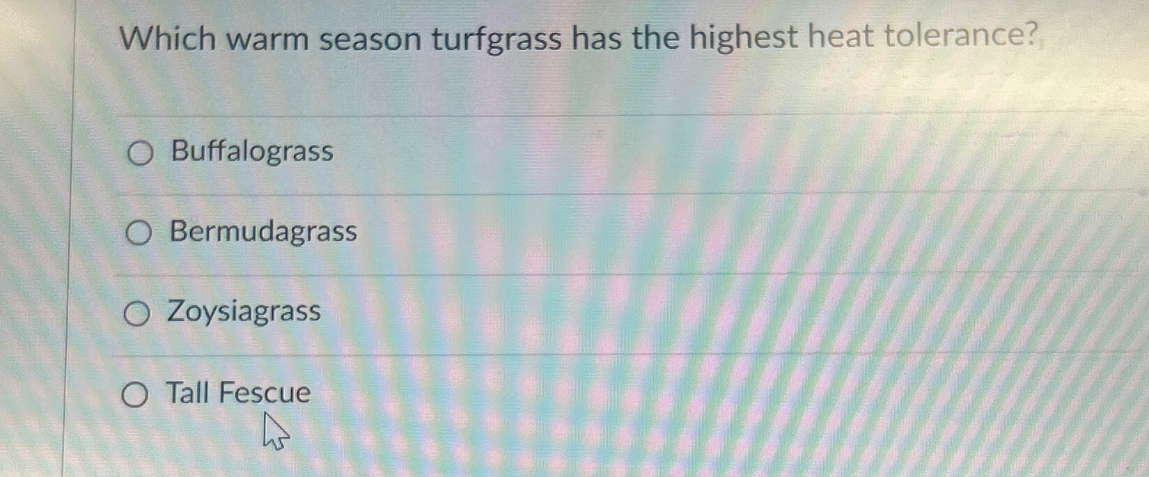 Solved Which warm season turfgrass has the highest heat | Chegg.com