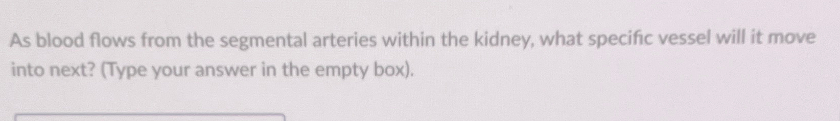 Solved As blood flows from the segmental arteries within the | Chegg.com