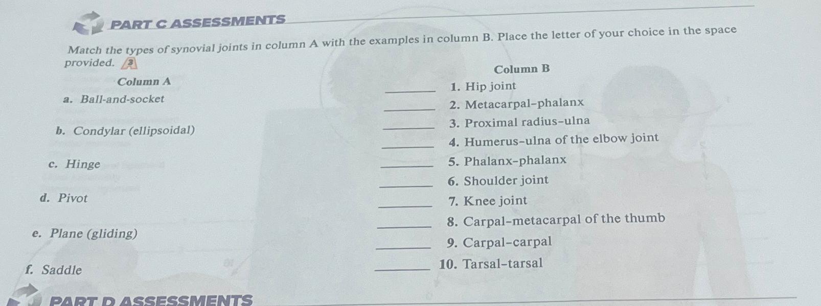 Solved PART C ASSESSMENTSMatch the types of synovial joints | Chegg.com Solved PART C ASSESSMENTSMatch the types of synovial joints | Chegg.com