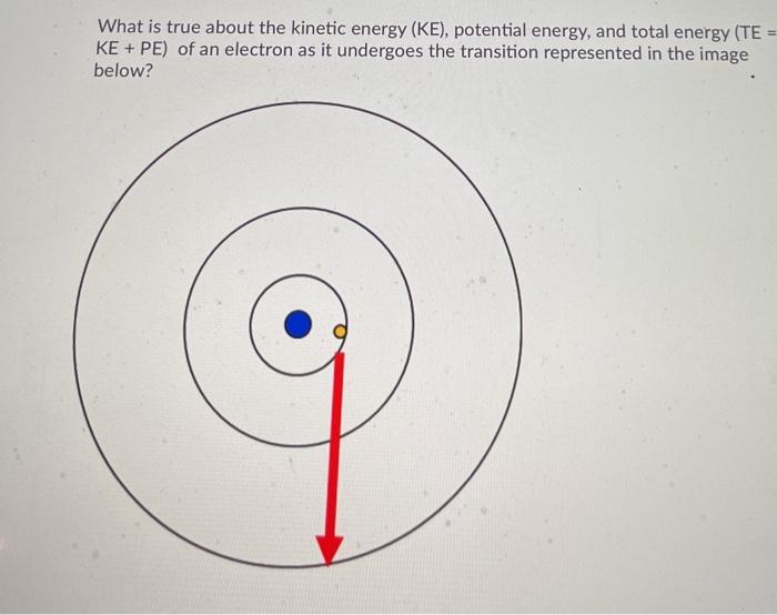 Solved What is true about the kinetic energy (KE), potential | Chegg.com