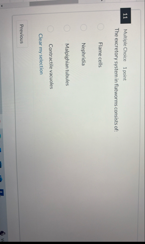 Solved 11Multiple Choice 1 ﻿pointThe excretory system in | Chegg.com