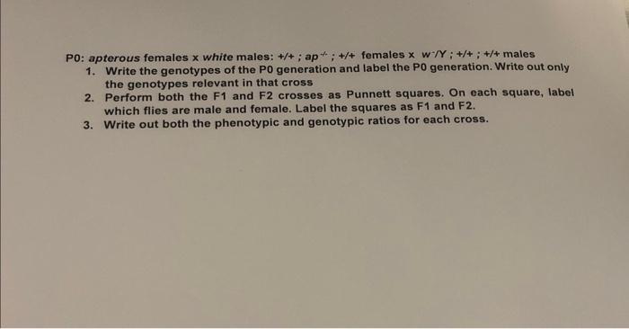 Solved P0: apterous females × white males: +/+; ap ∗+;+/+ | Chegg.com