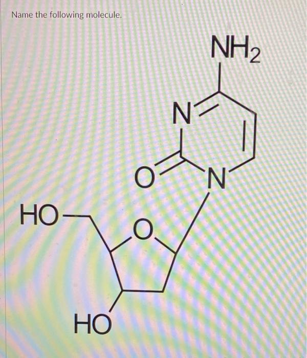 Solved Name the following molecule. NH2 NT O N HO- O HO | Chegg.com