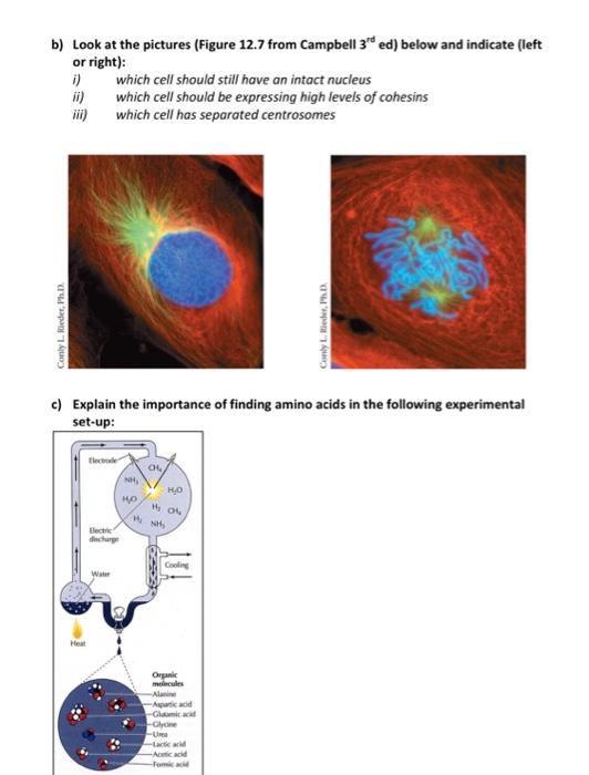 Solved a) In the figure below, several artificial protocells | Chegg.com