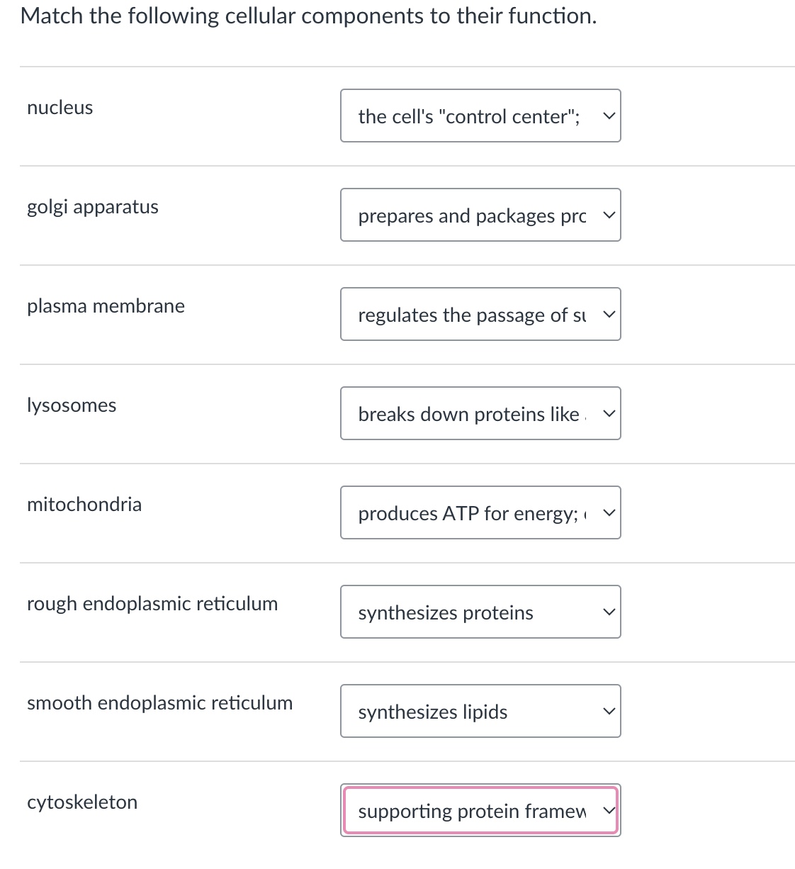 Solved Match the following cellular components to their | Chegg.com