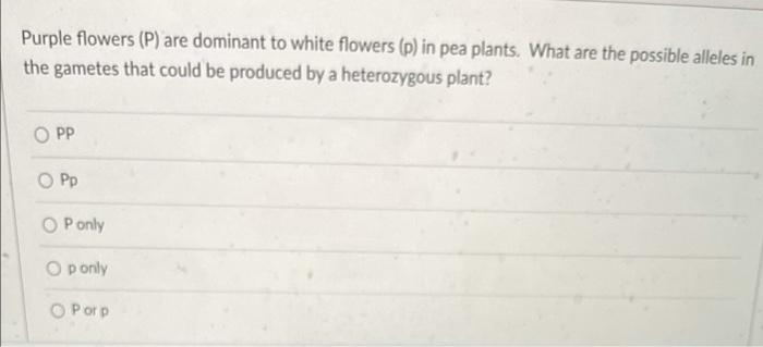 Solved Purple flowers (P) are dominant to white flowers (p) | Chegg.com