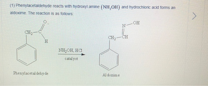 Solved (1) Phenylacetaldehyde reacts with hydroxyl amine | Chegg.com