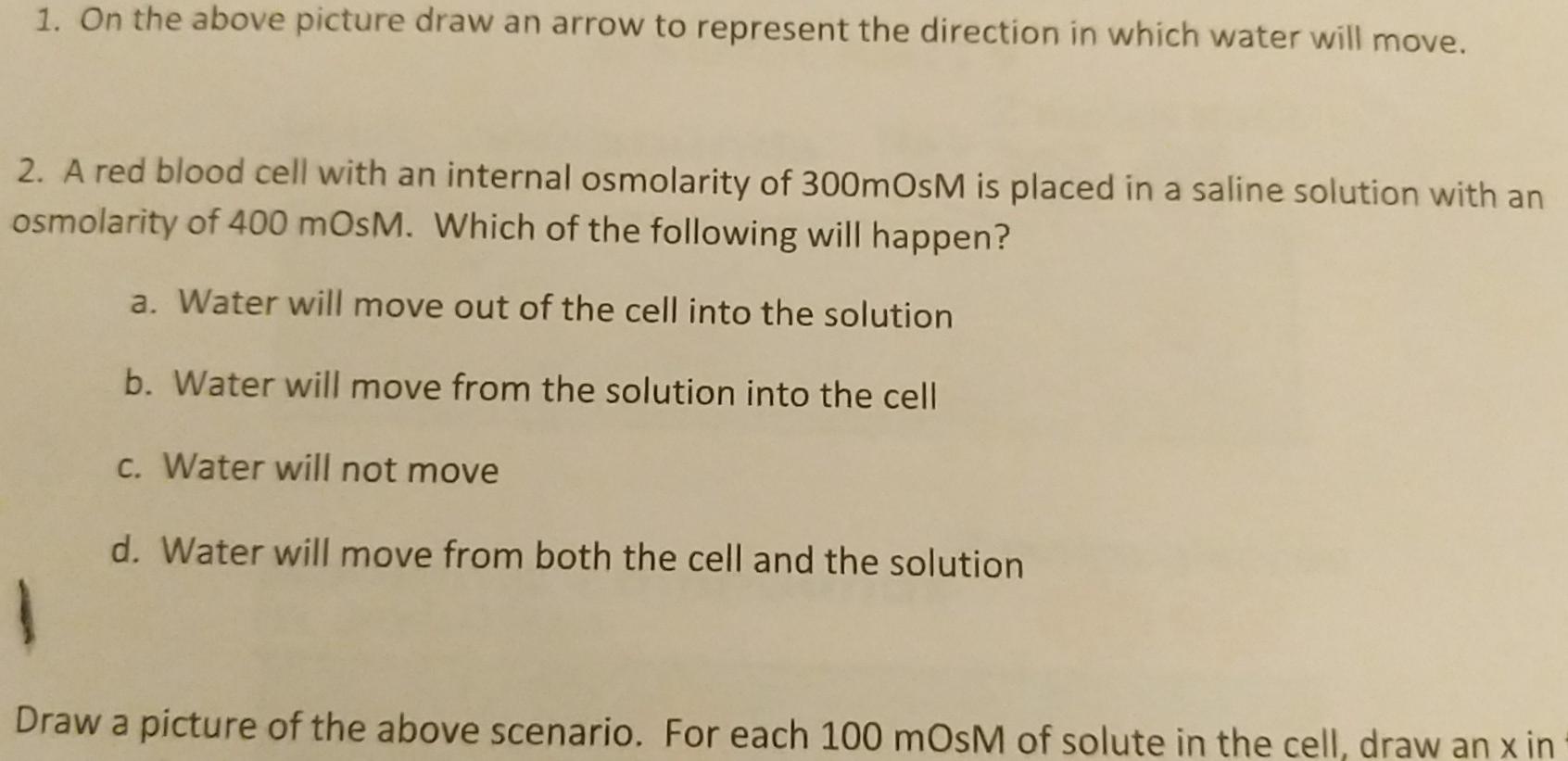 Solved a red blood cell with an internal osmolarity of 300 | Chegg.com