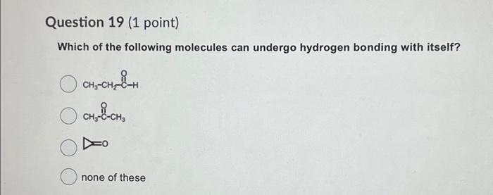 Solved Question 19 (1 point) Which of the following | Chegg.com