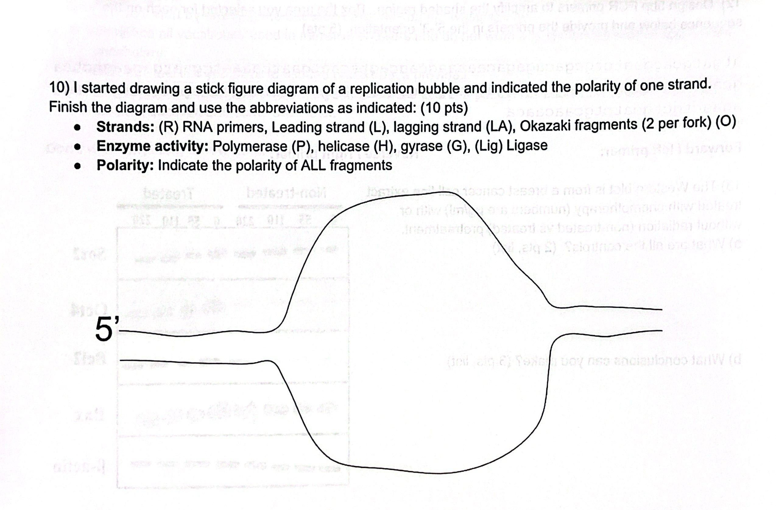 Solved I started drawing a stick figure diagram of a | Chegg.com