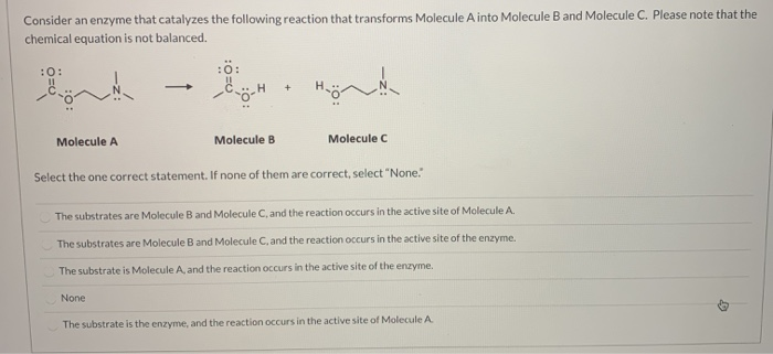 Solved Consider an enzyme that catalyzes the following | Chegg.com