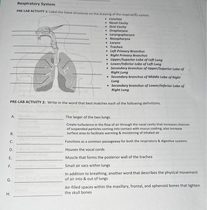 PRE-LAB ACTIVITY 2: Write in the word that best | Chegg.com