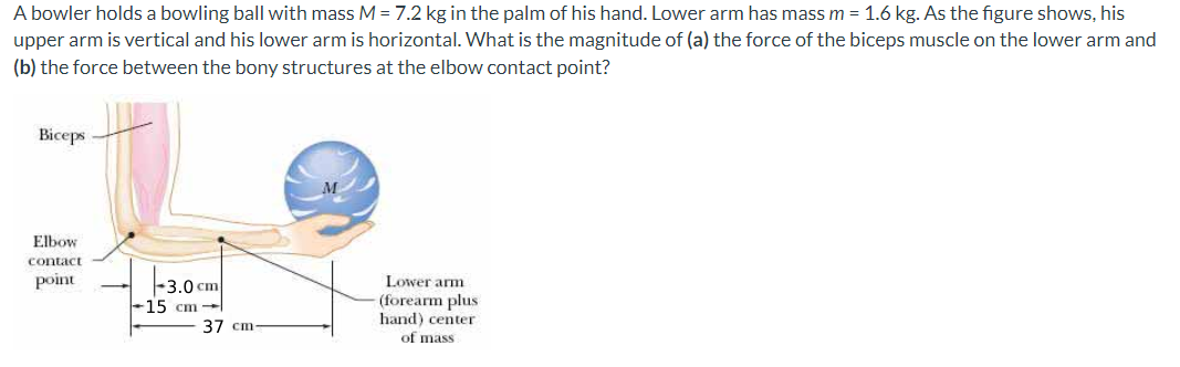 Solved A bowler holds a bowling ball with mass M=7.2kg ﻿in | Chegg.com