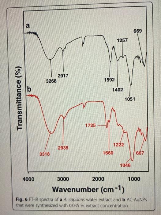 Solved Explanation of peak IR Spectrum, is it sharp or | Chegg.com