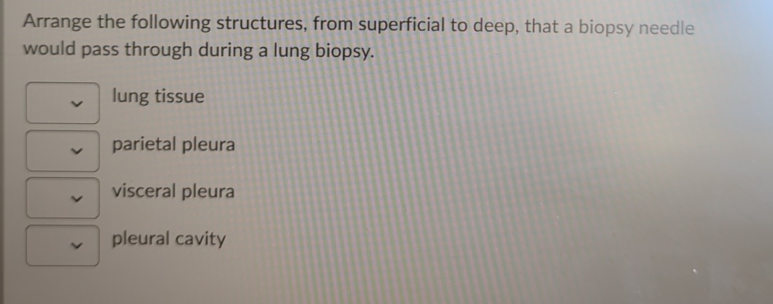 Arrange the following structures, from superficial to | Chegg.com