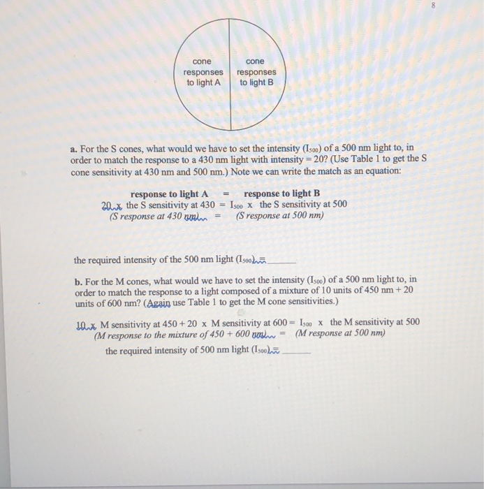 YOUR NAME: Psychology 405/605: Perception Assignment | Chegg.com