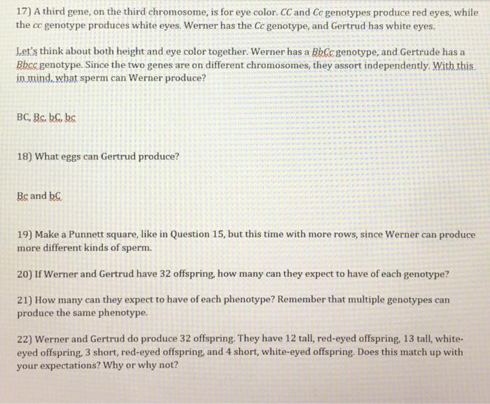 Solved 17) A third gene, on the third chromosome, is for eye | Chegg.com