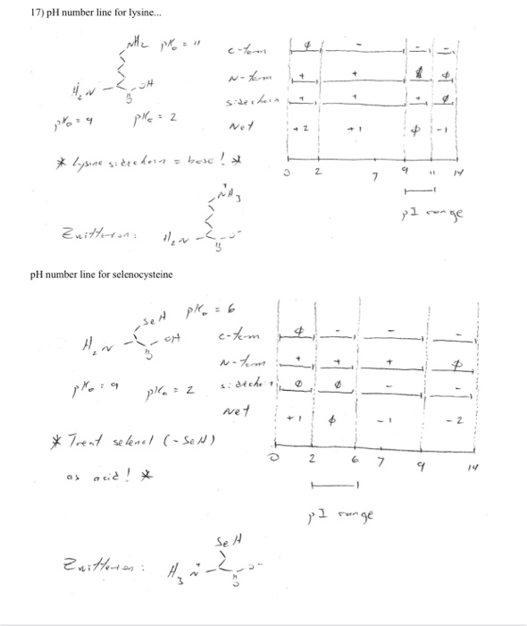 Solved 34) Refer to the structure of tyrosine (shown below | Chegg.com