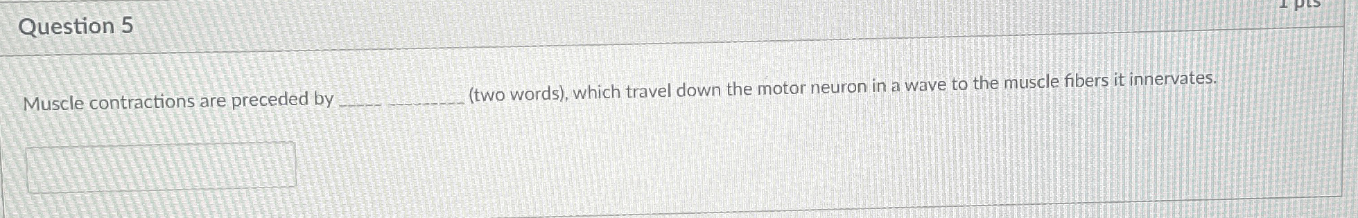 Solved Question 5Muscle contractions are preceded by - (two | Chegg.com
