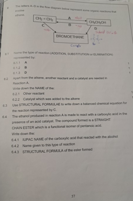 6The letters A-D in the flow diagram below represent | Chegg.com