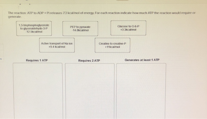 Solved The reaction: ATP to ADP+ Pireleases 73 kcal/mol of | Chegg.com
