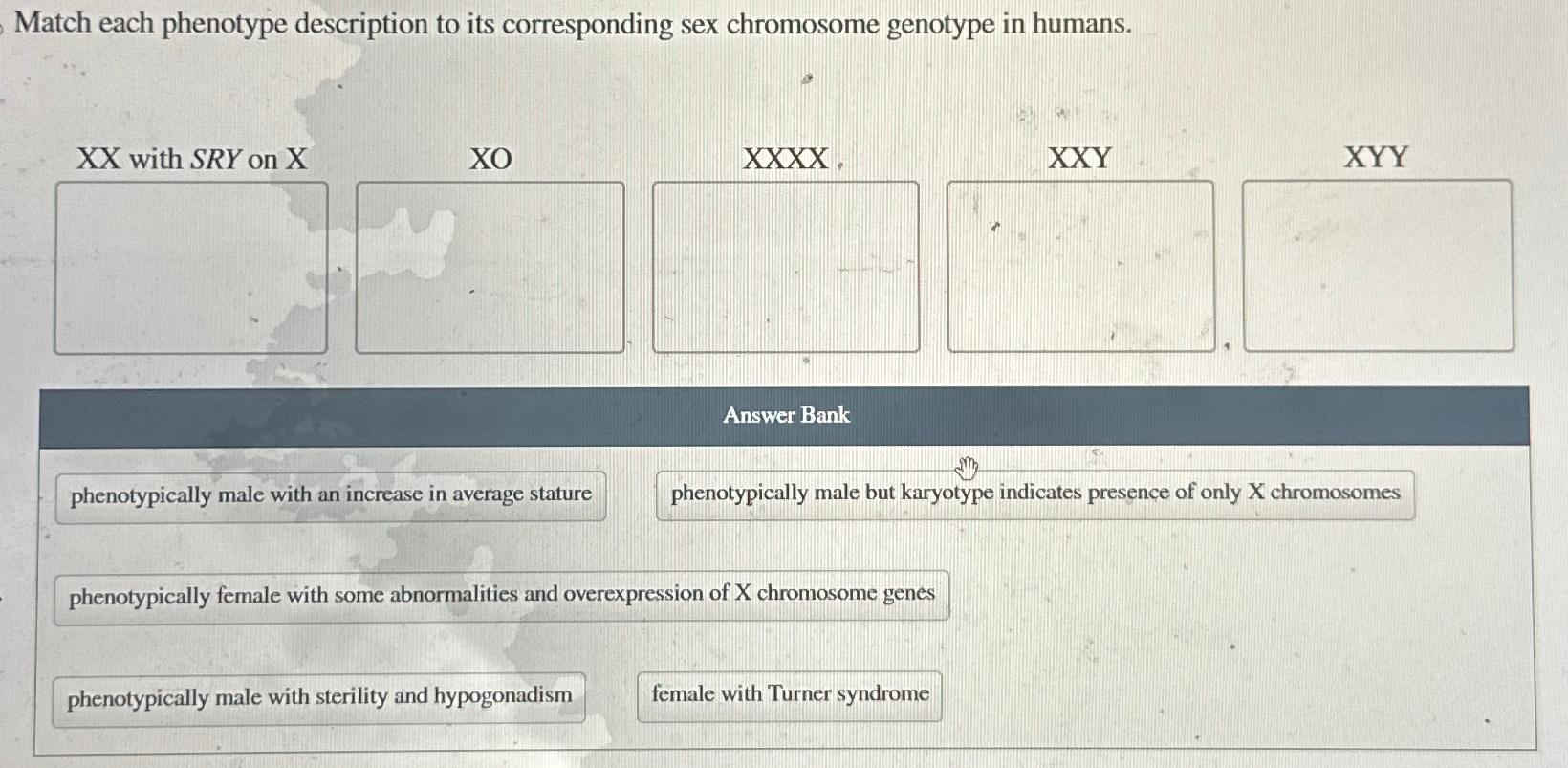 Solved Match each phenotype description to its corresponding | Chegg.com