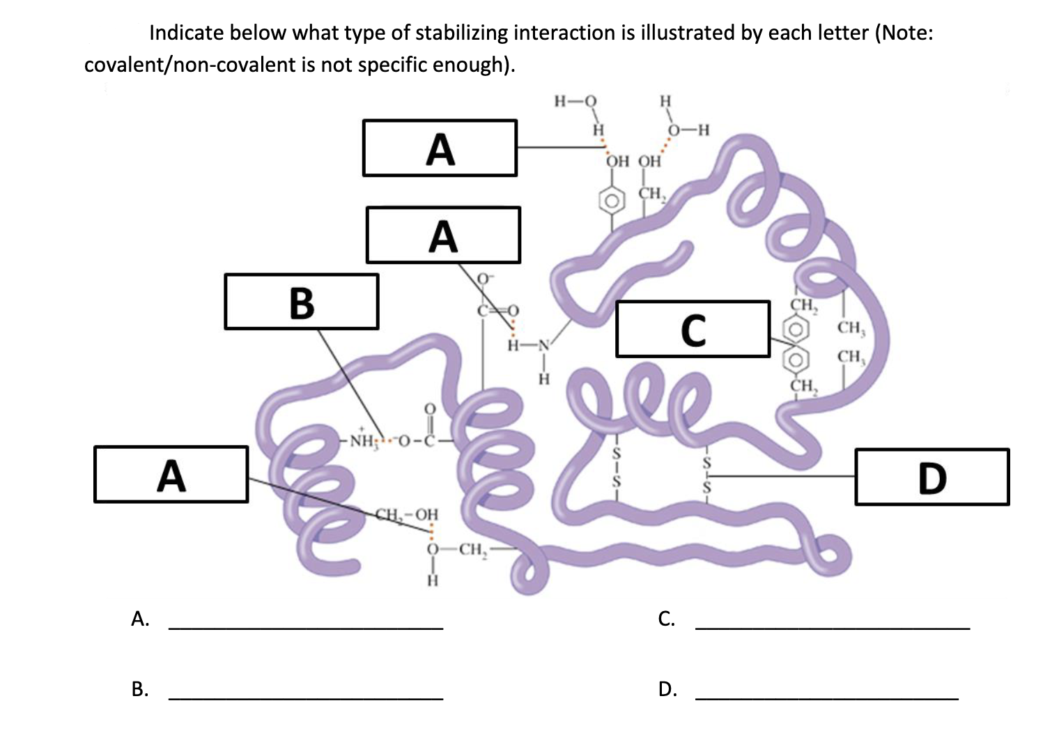 Solved Indicate below what type of stabilizing interaction | Chegg.com