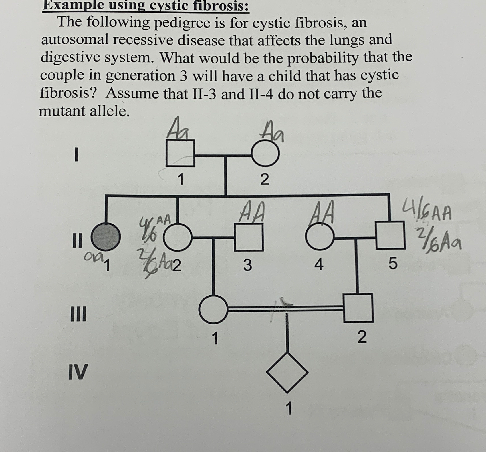 Solved Example using cystic fibrosis:The following pedigree | Chegg.com
