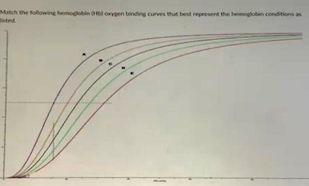Solved Match the following hemoglobin (Hb) oxygen binding | Chegg.com