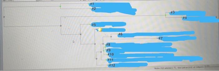Solved According to the phylogenetic tree shown below, what | Chegg.com