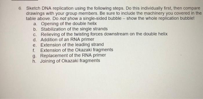 Solved 6. Sketch DNA replication using the following steps. | Chegg.com