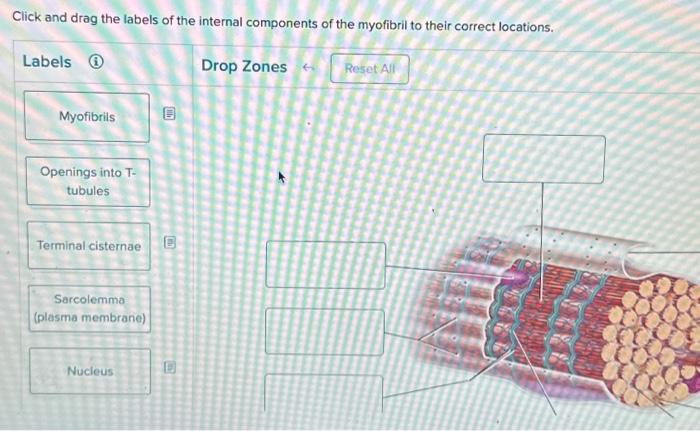 Solved Click and drag the labels of the internal components | Chegg.com